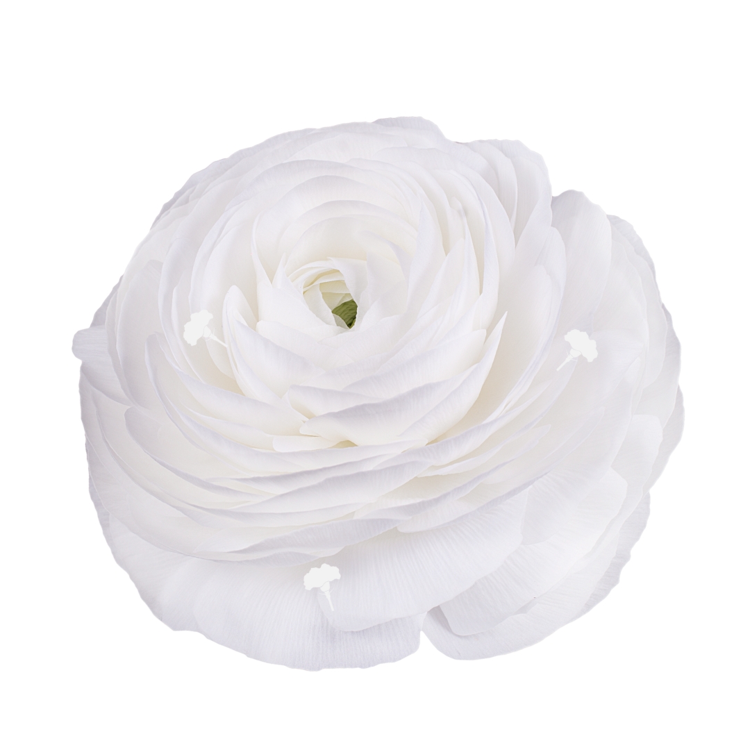 Elegance ® White – SB Talee